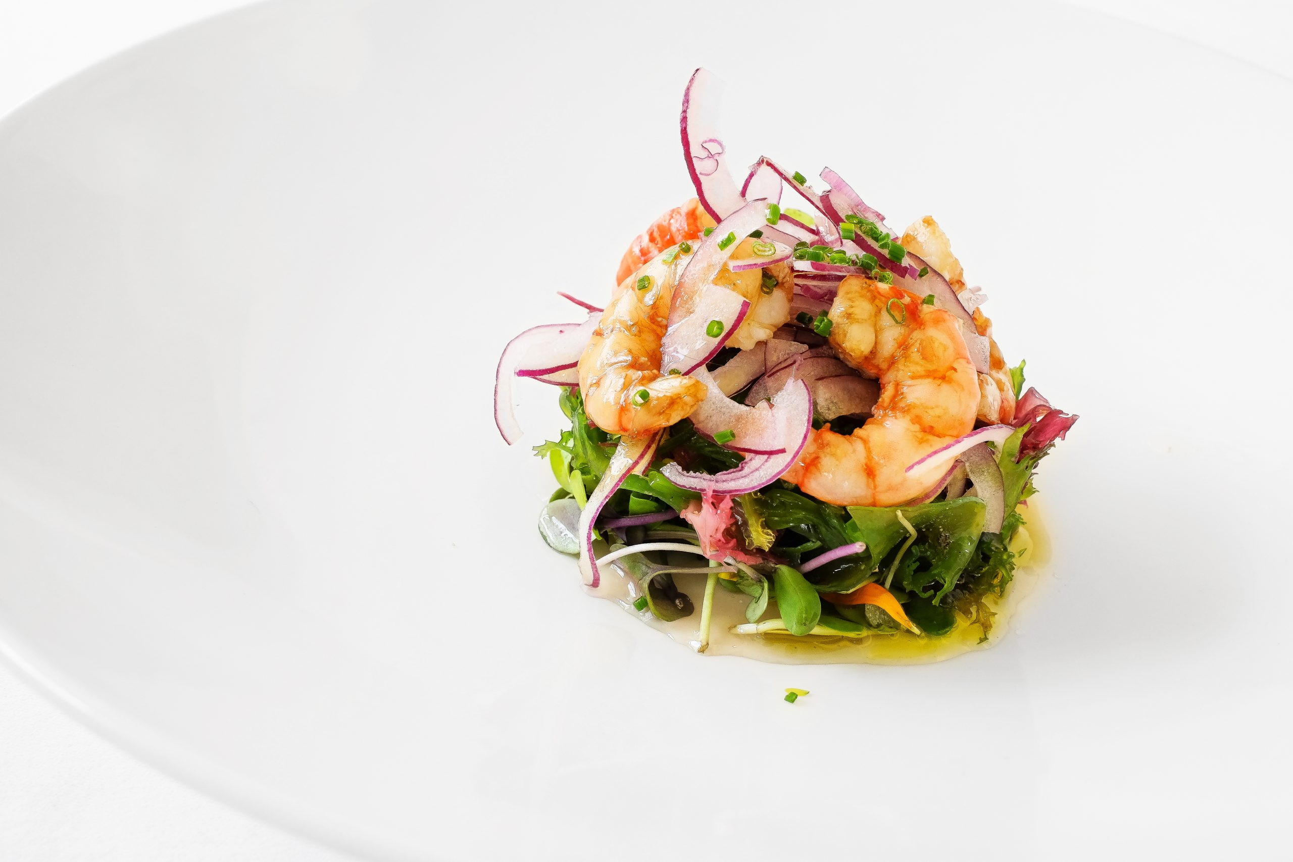 Emplatado artístico en restaurante. ¡Descubre este arte!